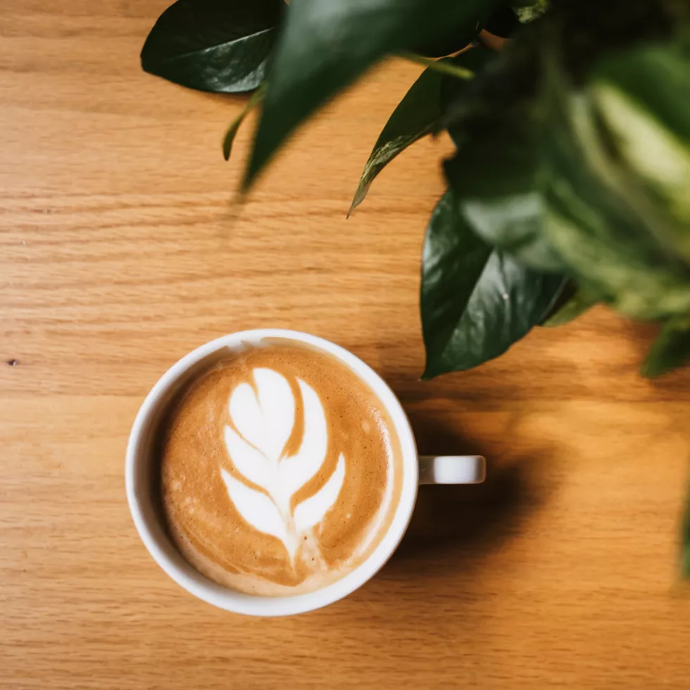 647 Coffee | The Well CDC